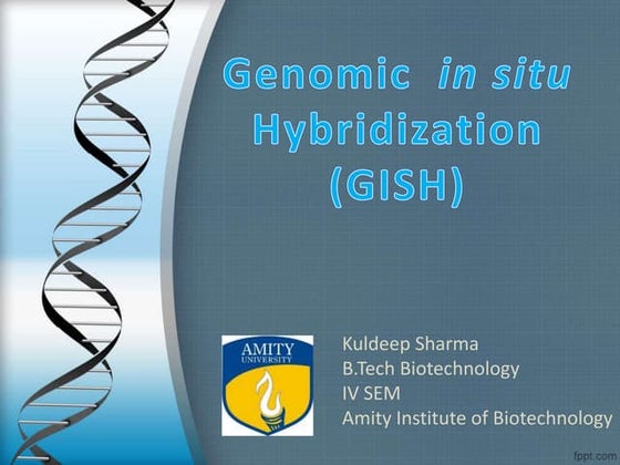 Fluorescent in-situ Hybridization (FISH) | PDF
