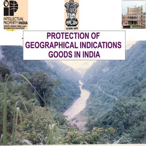 Protection Of Geographical Indications Goods In India Ppt