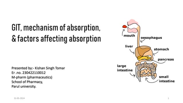 Gastrointestinal absorption of drugs | PPTX