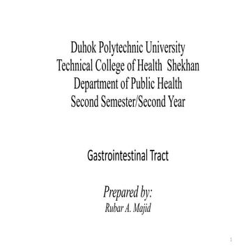 GIT 1 ,lec 5.pptxythffvfhfbffjfkffbfjfjrhr | PPT