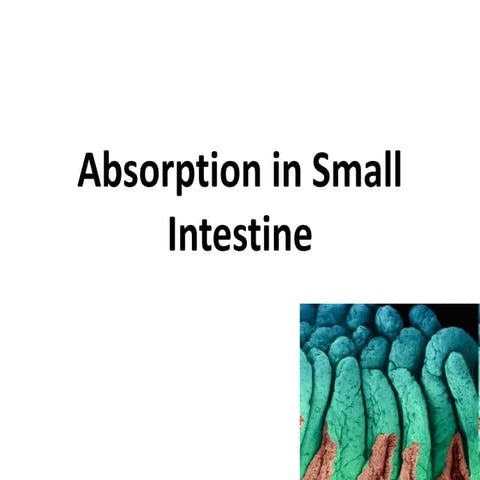 Gastrointestinal absorption | PPT