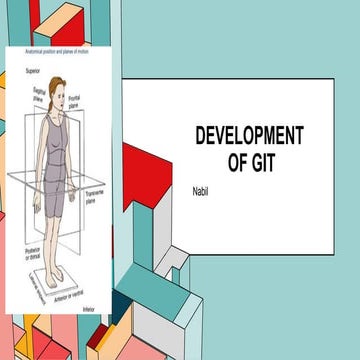 GIT Development Summary (Embroyology).pptx