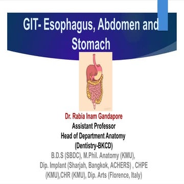 GIT, Esophagus, Stomach & Abdomen BY Dr. Rabia Inam Gandapore.pptx