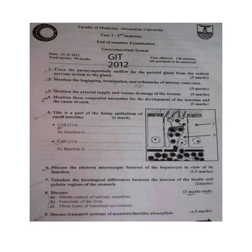 Git essay exams from 2012 to 2016 | PDF