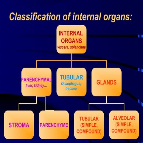 Embryology of Digestive system | PPT