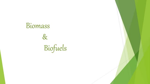 Biomass energy and conversion processes | PPTX | Science