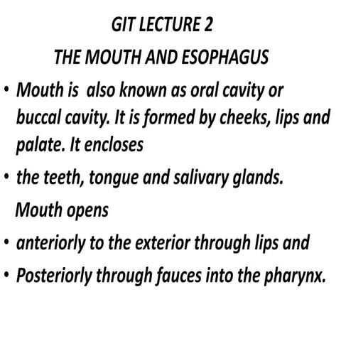 GIT LECTURE 2 ON MOUTH AND ESOPHAGUS.pptx | Ear, Nose and Throat Conditions | Diseases and ...