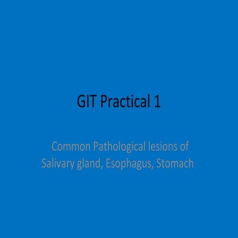 GIT prac 1 4 | PPT | Medical Health