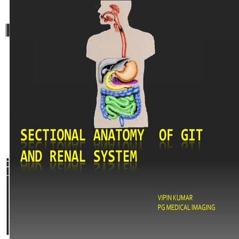 MRI OF GIT SECTIONAL ANATOMY | PPTX