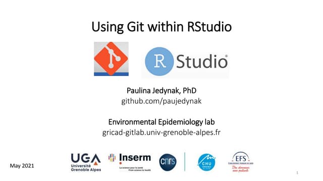 rstudio-ide | PDF