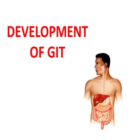 Gastro Intestinal system-GIT Sonika.pptx