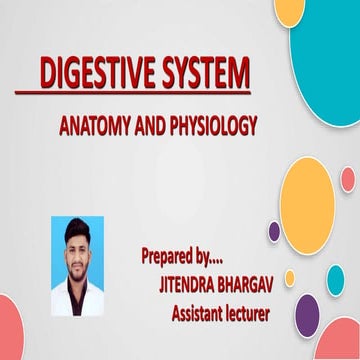 DIGESTIVE SYSTEM ANATOMY AND PHYSIOLOGY SLIDESHARE | PPTX