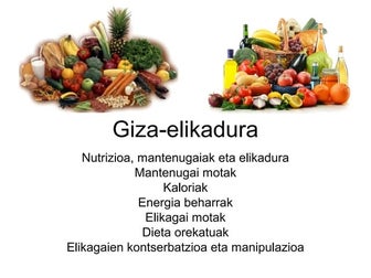 Giza elikadura | PPT