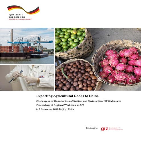 Workshop Report on Regional SPS Measures | PDF