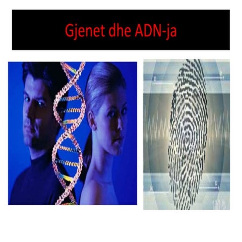 Gjenet dhe ADN-ja | PPT