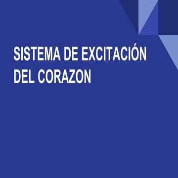 Sistema de exitacion del corazon | PPTX