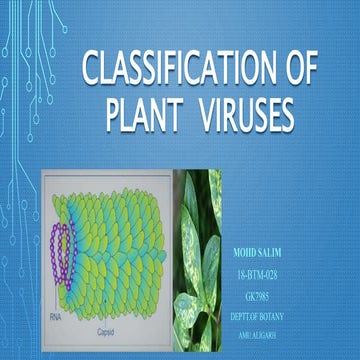 Classification of plant viruses | PPTX