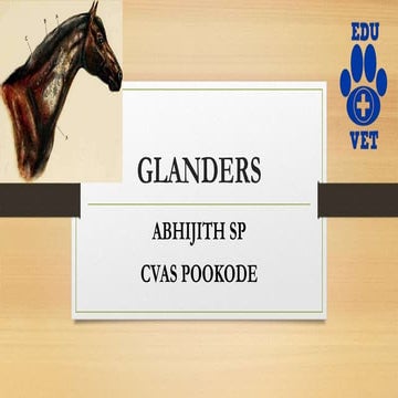 Glanders | PPTX