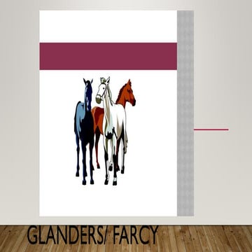 Glanders | PPTX