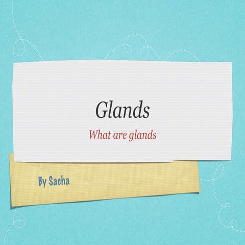 Glands | KEY