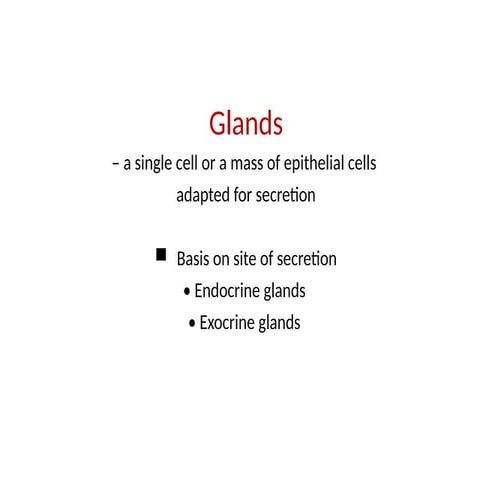 Glands-anatomy for bsc nursing 1st year student | PPTX