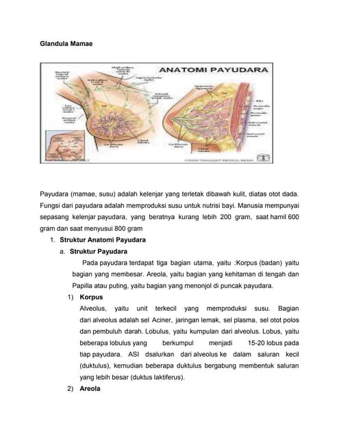 227154690-PPT-Anatomi-Dan-Fisiologi-Payudara.pptx