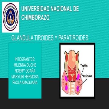 GLANDULA TIROIDES - FISOLOGIA Y ANATOMIA | PPTX