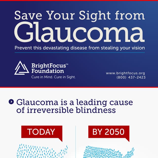Save Your Sight from Glaucoma - Infographic | PDF