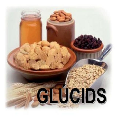 Glúcids | PDF
