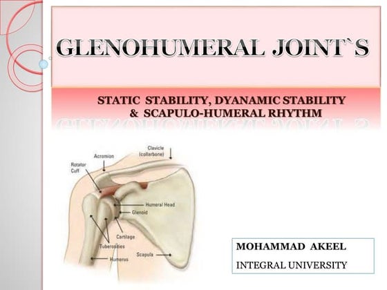 Mechanism of respiration | PPT
