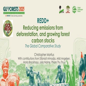 REDD+ Reducing emission from deforestation, and growing forest carbon ...
