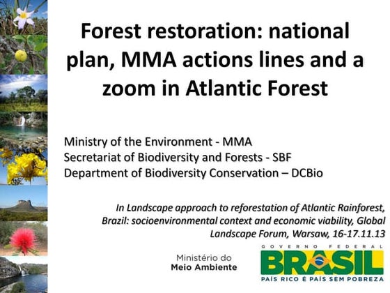 Restoring our rainforests: Bonn Challenge and Forest Landscape ...