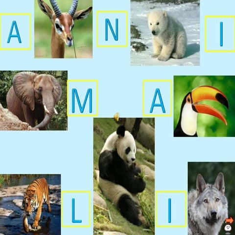 Gli animali | PPSX