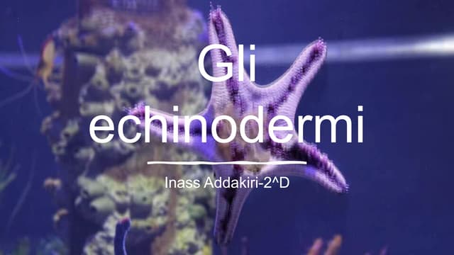 Echinodermi | PDF | Fish and Aquariums | Pets