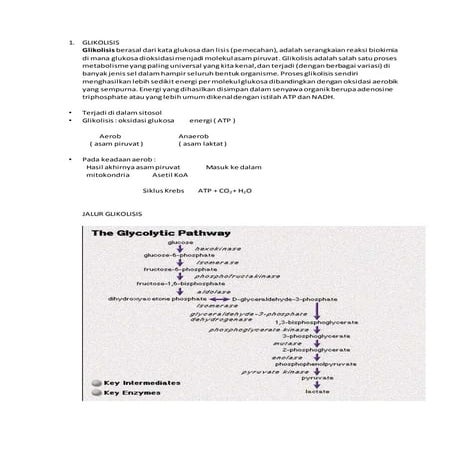 Glikolisis | PPTX