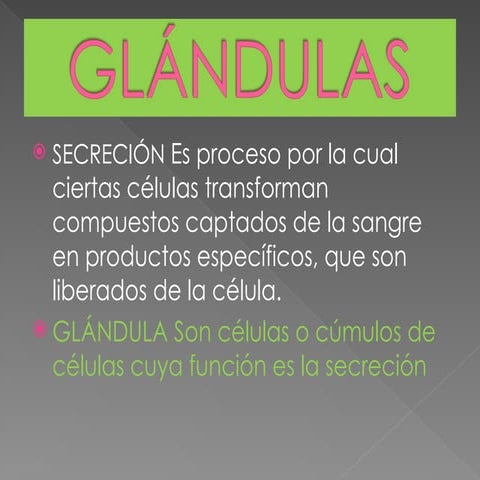Glándulas y secreción vfdddddddddddddddddd | PPT
