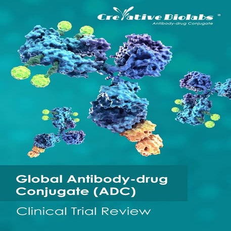 Global ADC Clinical Trial Review | PDF