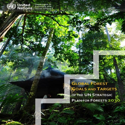 UNITED NATIONS STRATEGIC PLAN FOR FORESTS 2030 | PDF