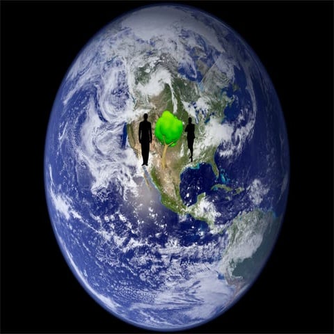 Global Warming: GM Trees | PDF