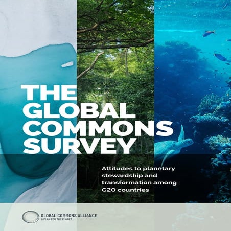 Global commons g20 survey full report | PDF