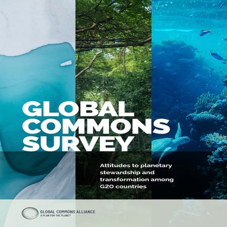 Global Commons Alliance: Survey | PDF