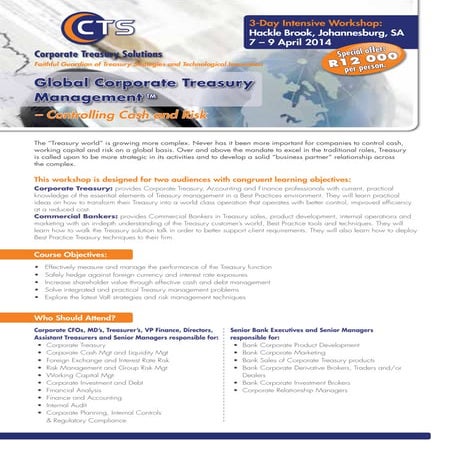 Global corporate treasury management pdf | PDF