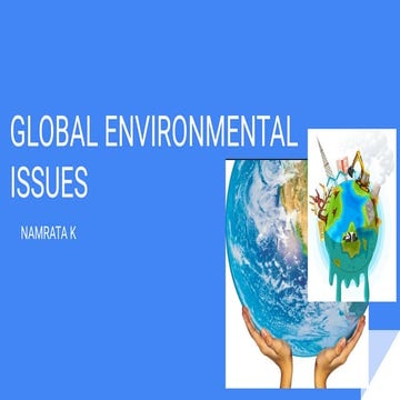 GLOBAL ENVIRONMENTAL ISSUES n climate change.pdf