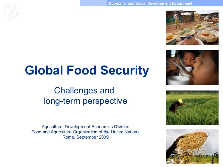 Global Food Security - Challenges and long-term perspective