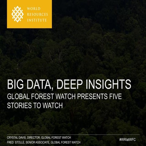 Global Forest Watch: 5 Stories to Watch | PPT