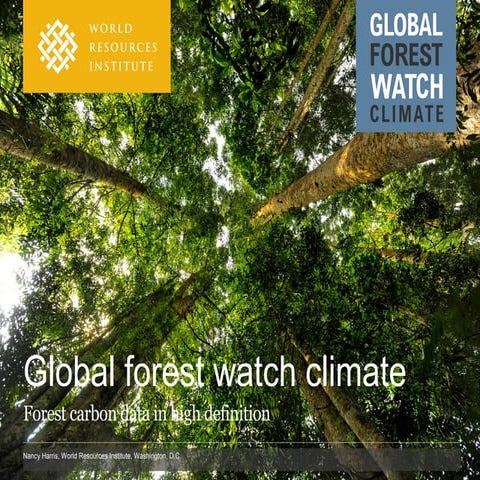 Global forest watch climate | PPT