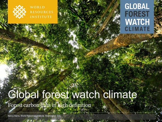 What is happening to our forests in Myanmar? | PPTX