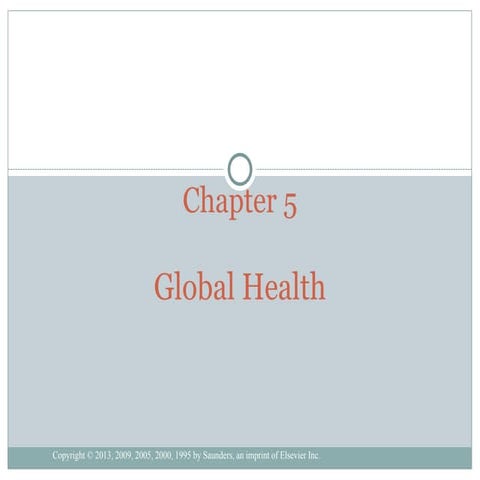 Global Health concepts, insights, and disparities | PPT