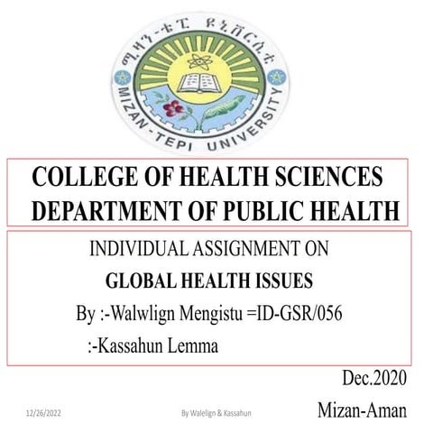 Global Health Issues final edited.pptx