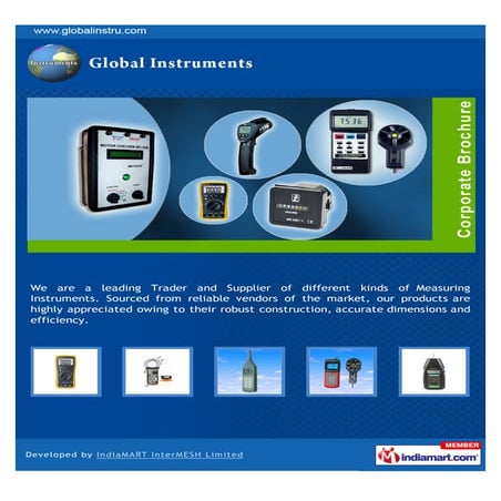 Global Instruments, Delhi, Measuring Instruments | PDF